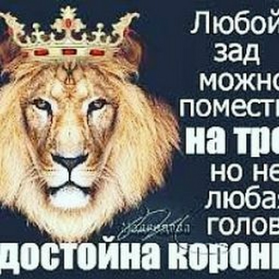 AKedOLQ0RwVBFvCnrbc9Sb5I2yJiKHLMNummoKu1KIhGAw=s900-c-k-c0x00ffffff-no-rj