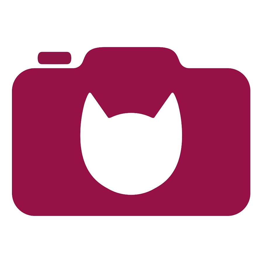 AKedOLQ2ERFPtN6qPanvhu4hA2PVpyGL2mrwxl-MQ2w43g=s900-c-k-c0x00ffffff-no-rj