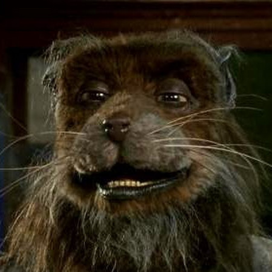 AKedOLQ2TMCeCMxIeUHbiCSpr6bS2Gf2RTUaFU3lFFIz=s900-c-k-c0x00ffffff-no-rj