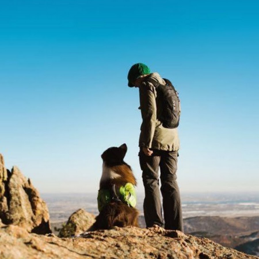 AKedOLQ6GUF94AMkl4MRtraSO69gsDX6__wTlXjfQGfj=s900-c-k-c0x00ffffff-no-rj