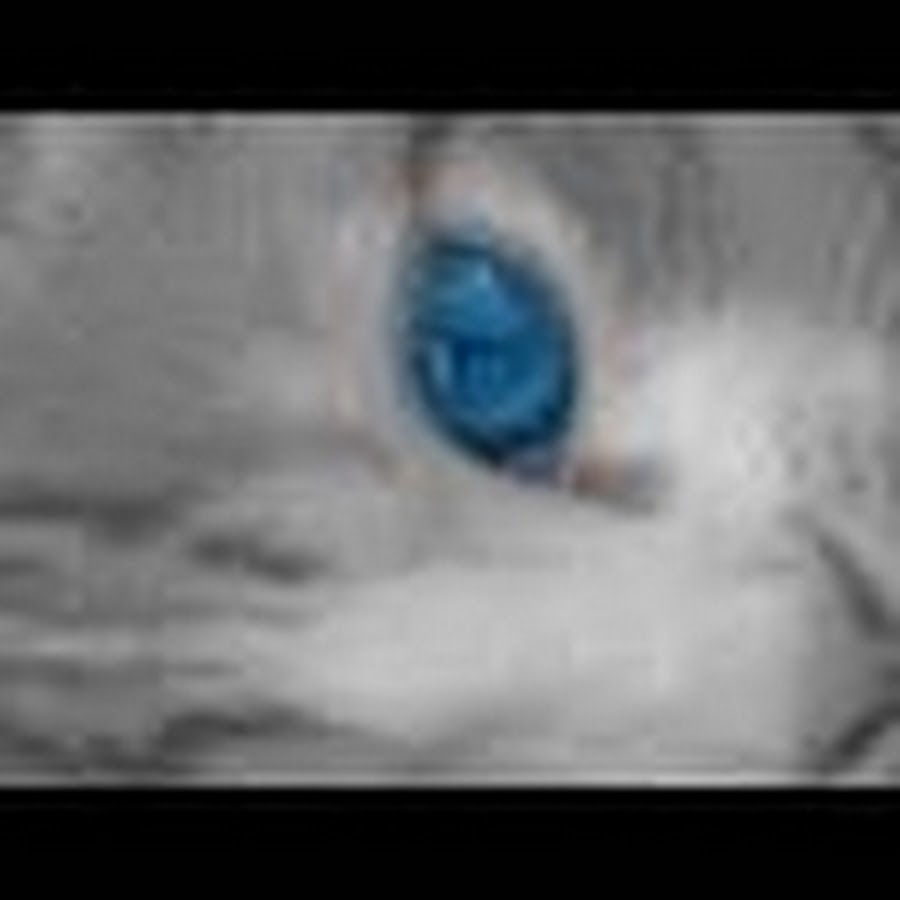 AKedOLQAA2uGGFDRDGGAcztbMo_fyI81xpHSUMhFPfav=s900-c-k-c0x00ffffff-no-rj