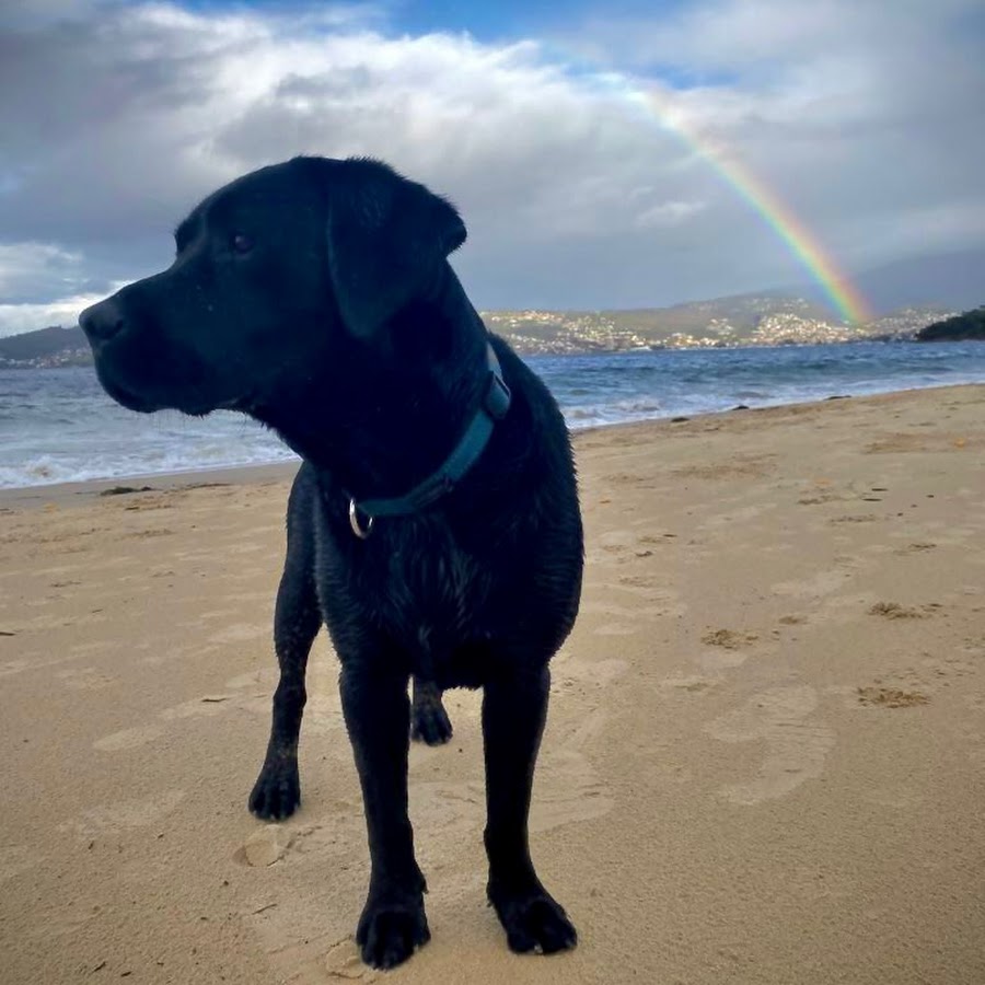 AKedOLQEnbPPU5usK2aXfo2ZWEzeMEEksGkGQ5IfZKR-pg=s900-c-k-c0x00ffffff-no-rj