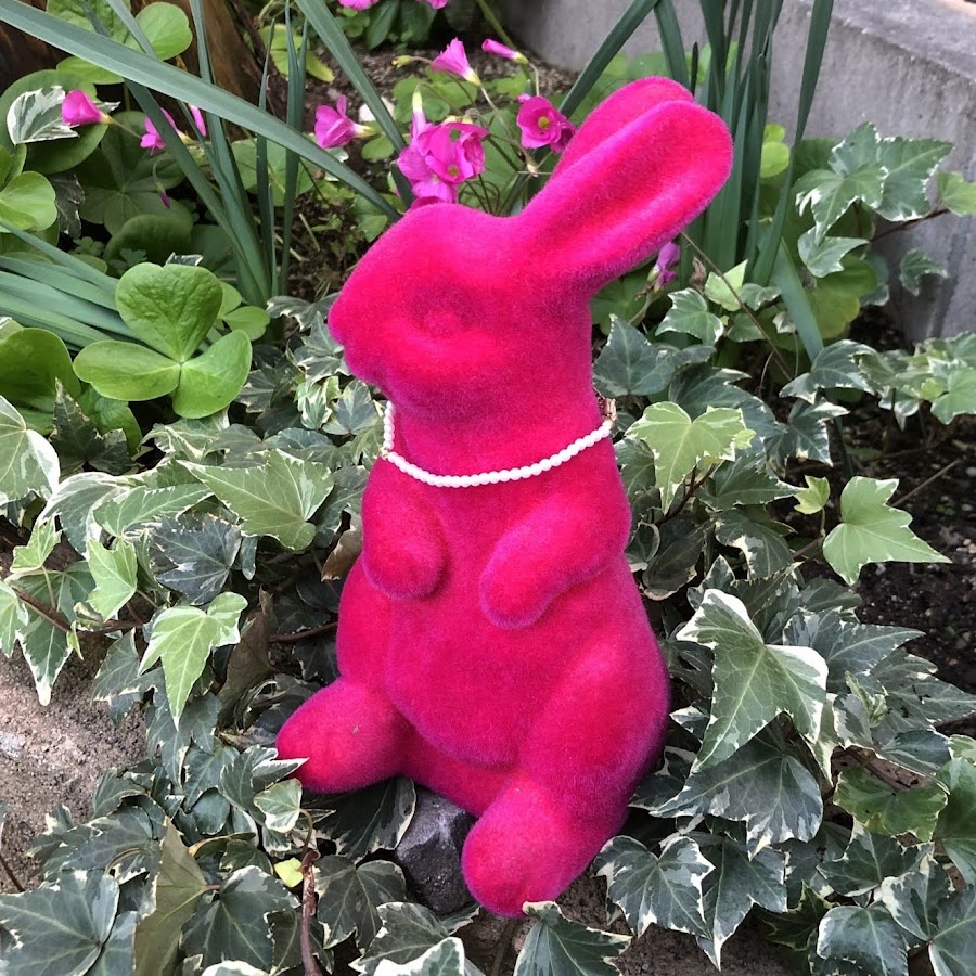 AKedOLQGZnPMBLDdIwswJD0cn-da00G9kqJxC-uOwaKy=s900-c-k-c0x00ffffff-no-rj