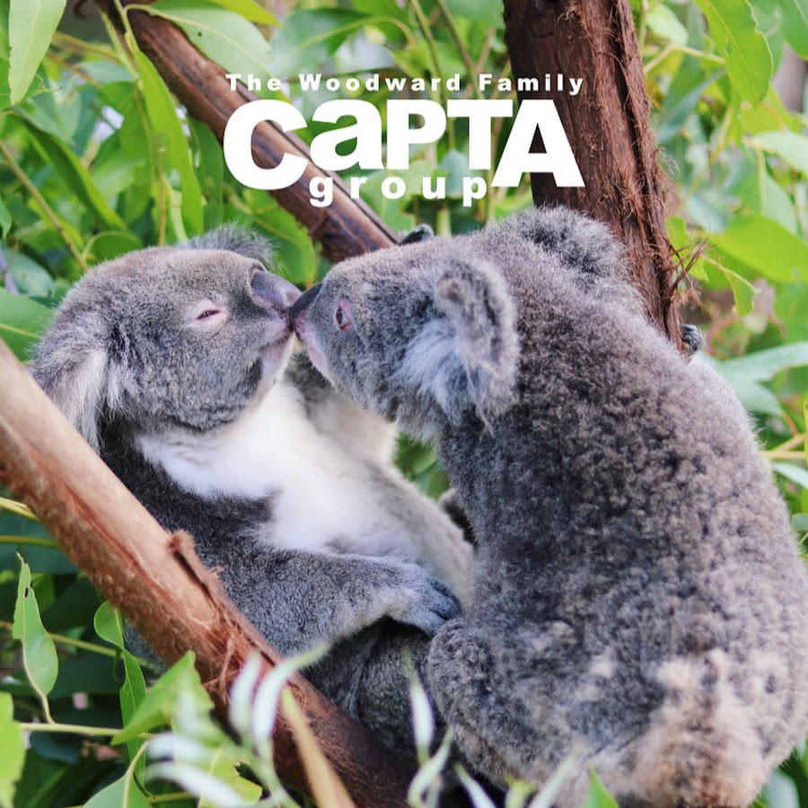 AKedOLQLE-0SnbjEVTQg7rb40QjUqMK8rM9Hd9zvFGDrwA=s900-c-k-c0x00ffffff-no-rj