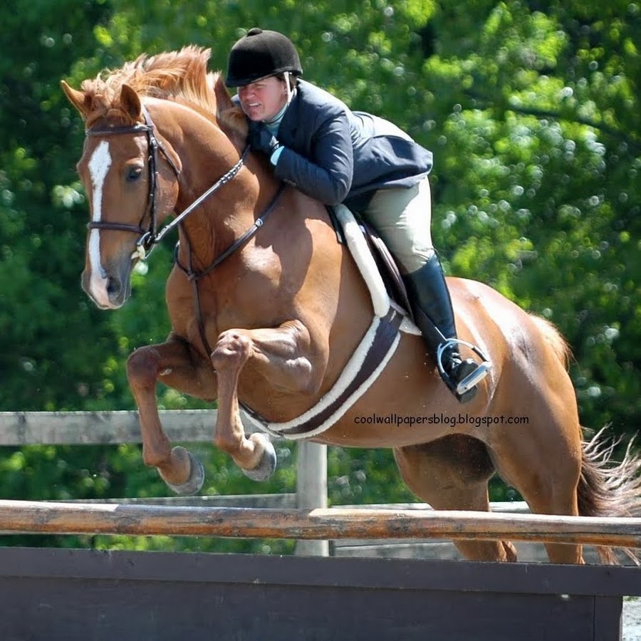 AKedOLQMUuAG3zqbSiNOZRb5NRxuZpfTeJAWGuU6HlHK=s900-c-k-c0x00ffffff-no-rj