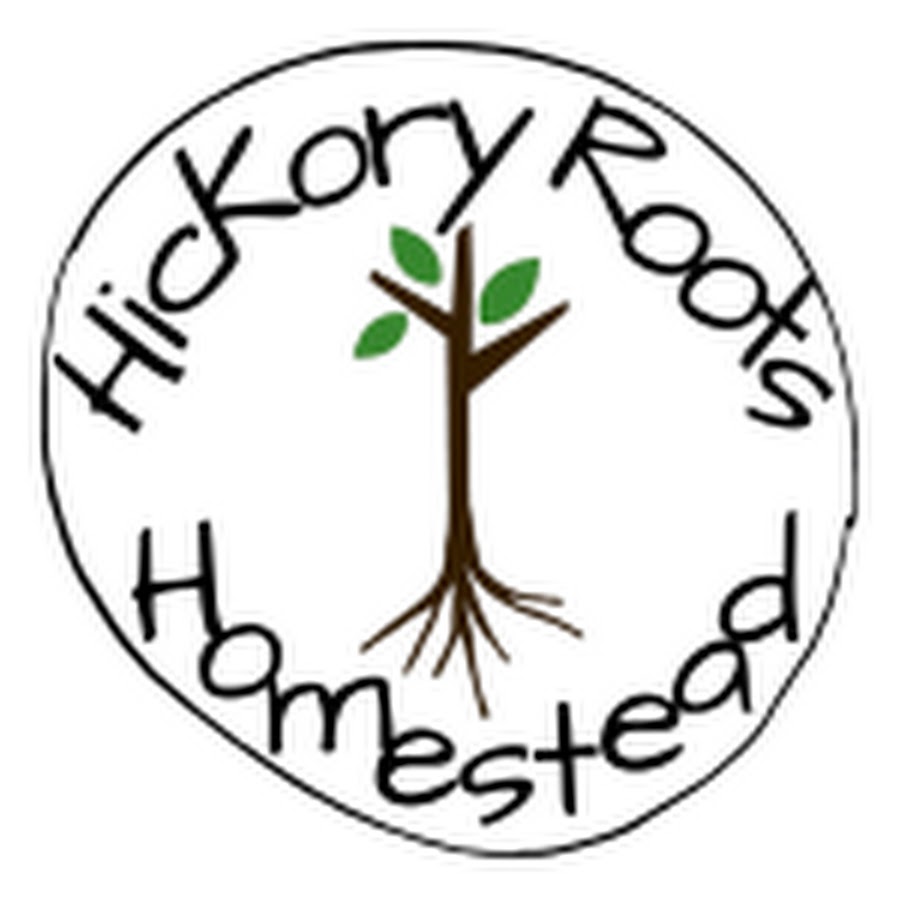 AKedOLQT-lAscCnlD_H2DepLEnAfYw5BIuF4EGOsZ_ybaA=s900-c-k-c0x00ffffff-no-rj