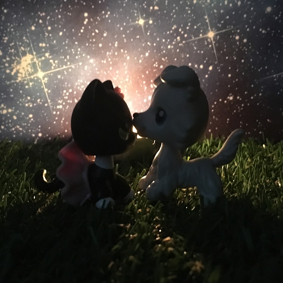 AKedOLQUYnlqV5-Q1zvP3HWiGTXo0gCc3AsI4Xbee3eLAA=s900-c-k-c0x00ffffff-no-rj