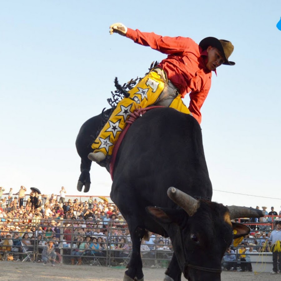 AKedOLQV2ifrTAw4dXQTubAqCOJk4DJoi6WlkDgCwQm8Zg=s900-c-k-c0x00ffffff-no-rj