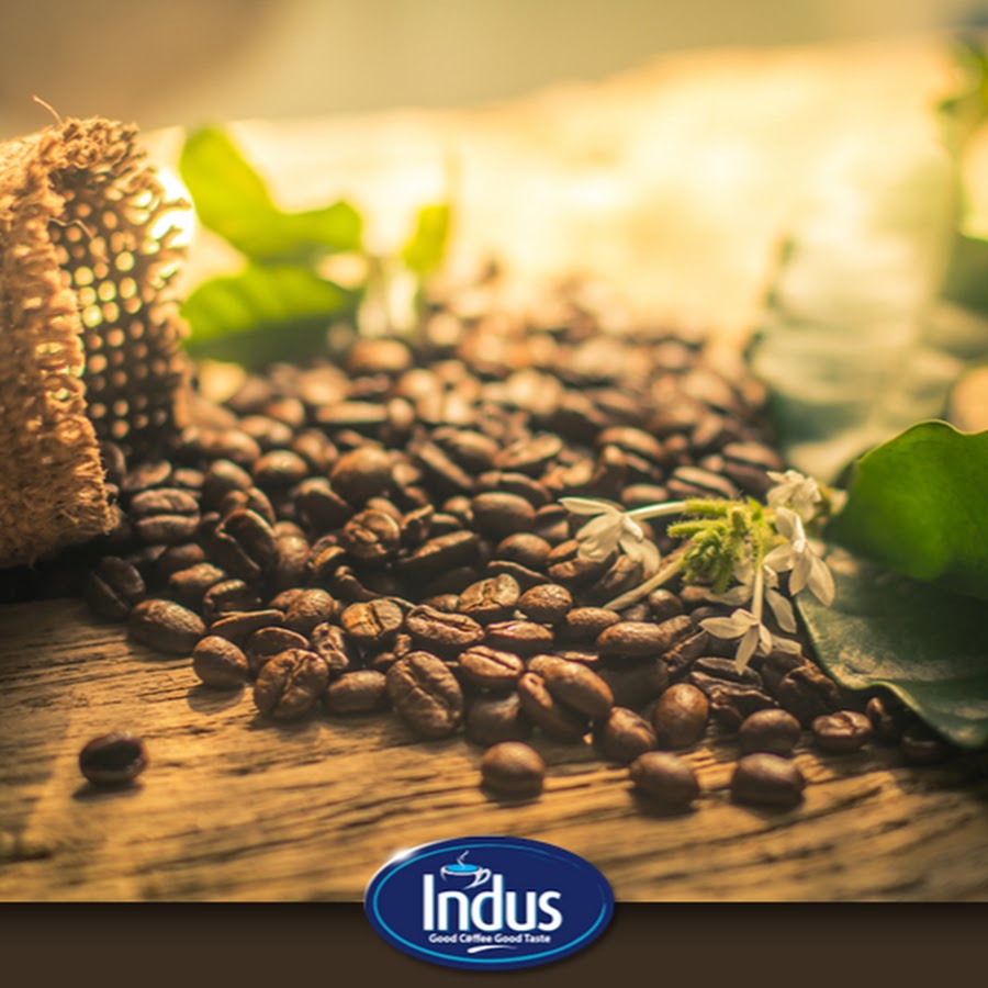 AKedOLQ_SsMFQ9QHkfA5pB8JSPzKBFVh5Bzz_l0nr1E6=s900-c-k-c0x00ffffff-no-rj