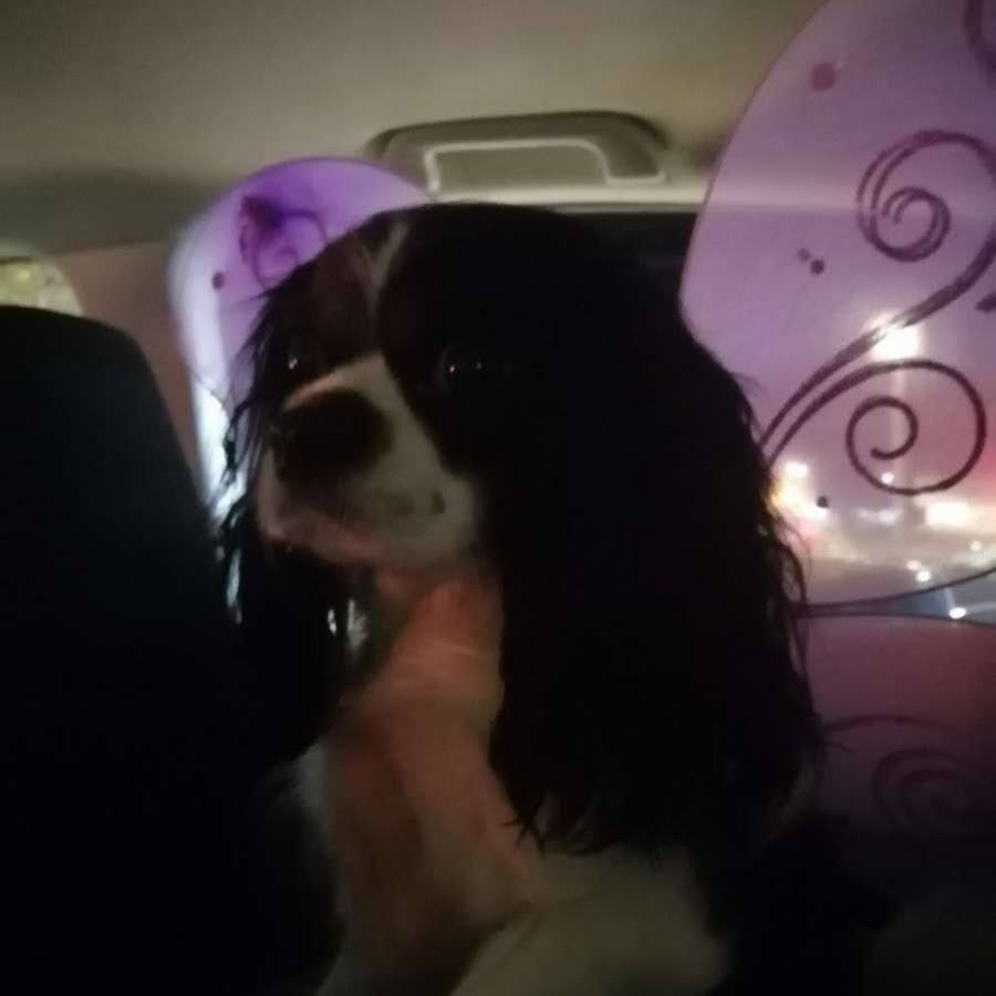 AKedOLQbVrAE1KYlIimHP5MnS235vrC3I8HaES-4bFF7=s900-c-k-c0x00ffffff-no-rj