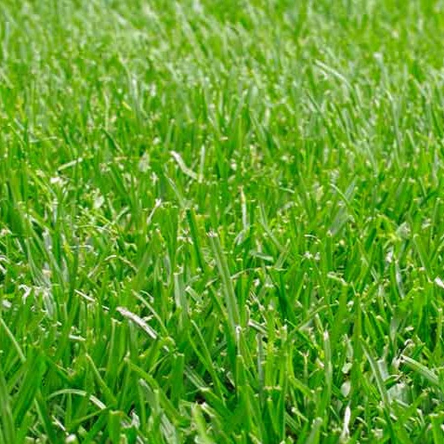 AKedOLQcTC70gTQhb24R3rNZ61QQtM2oR358Sb_wowHc=s900-c-k-c0x00ffffff-no-rj