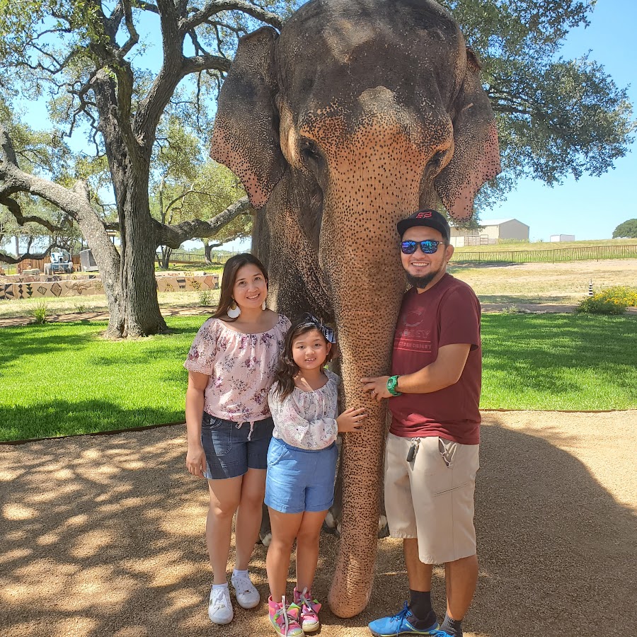 AKedOLQhqcdmfeUX8xIZutEvoAKbW5IdJj1m_ZHheFzHgA=s900-c-k-c0x00ffffff-no-rj