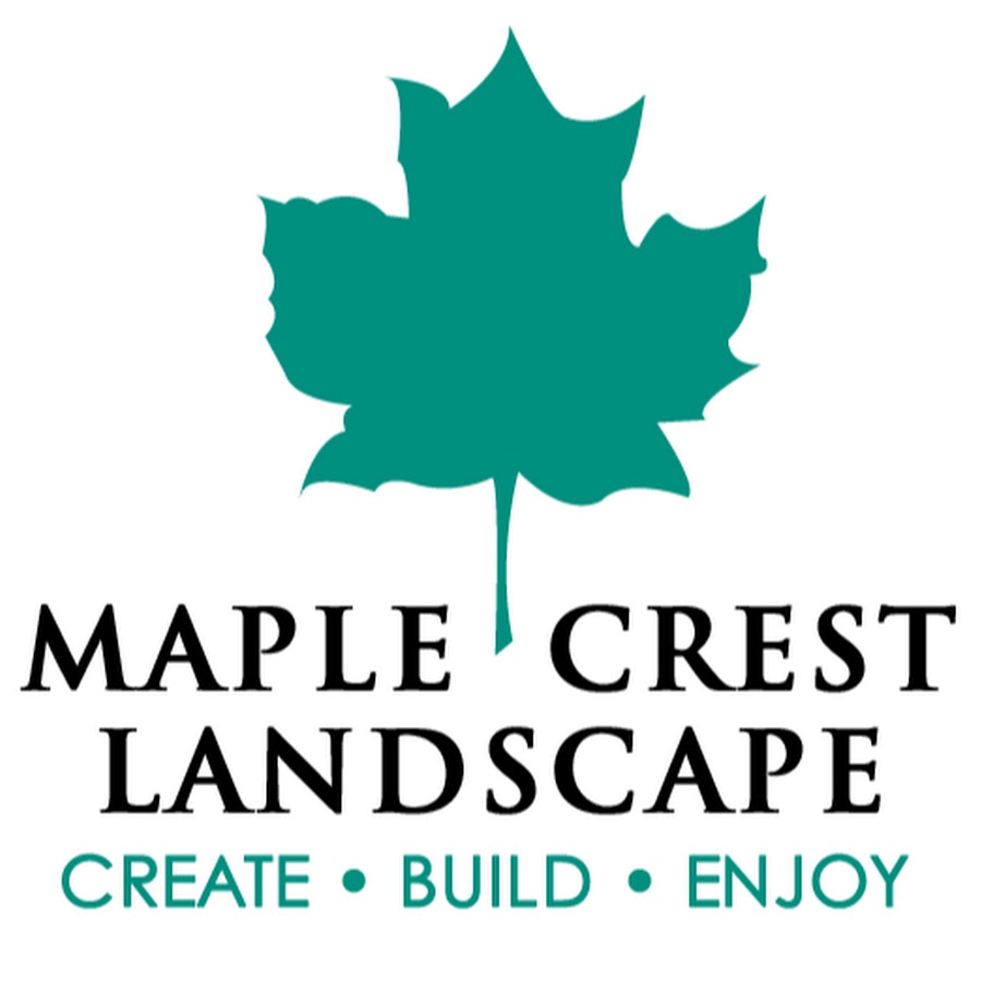 AKedOLQiG60a7seqlYO9wzeJGH5bIt_otSqTzjY2nrWUpA=s900-c-k-c0x00ffffff-no-rj