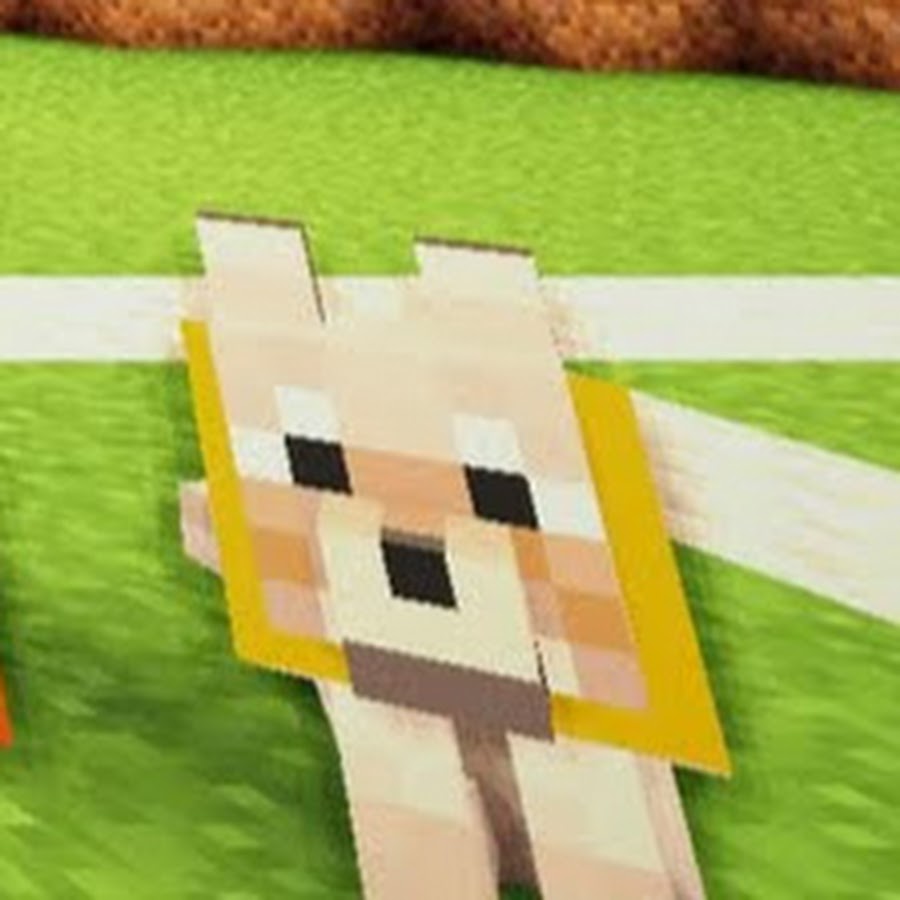 AKedOLQtqTOdgVd-f0Q_WXeTo2_IrKje2id_n0g4bteeSw=s900-c-k-c0x00ffffff-no-rj