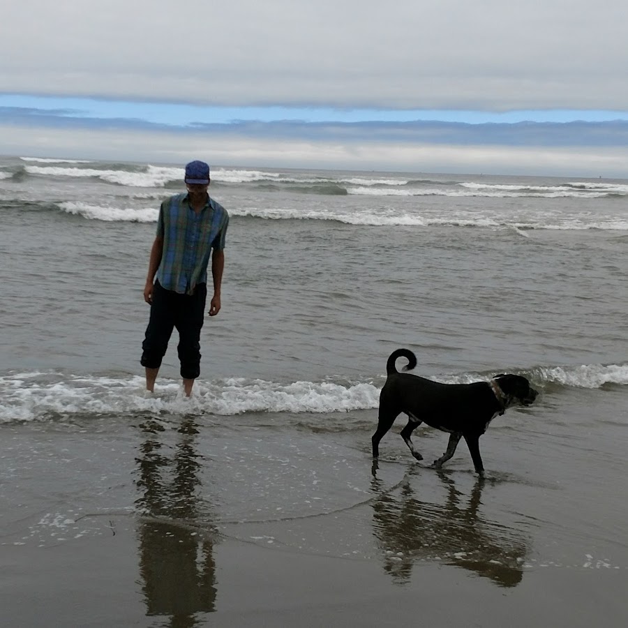 AKedOLQuJwhKc3PCfpyIZBhcg2O0_zH2hTKvD2KdOX0DDA8=s900-c-k-c0x00ffffff-no-rj