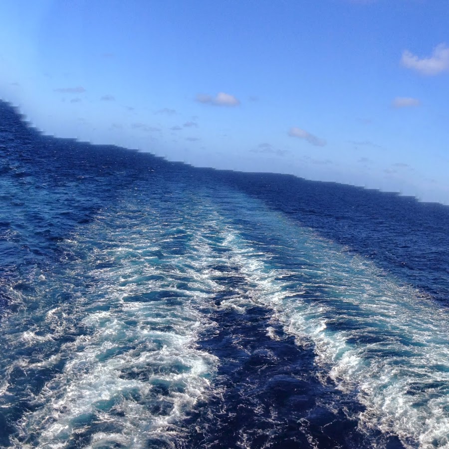 AKedOLQuLhY6SAEbogBHwpJ_KQesdBrHN15cx2CmwyTnFQ=s900-c-k-c0x00ffffff-no-rj