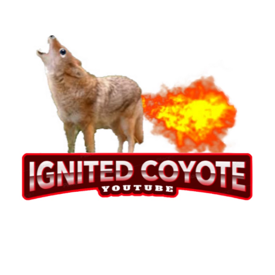 AKedOLQyReCcCjiWe6WTYlM9oUOBkoAK01dQhjVnkySHCQ=s900-c-k-c0x00ffffff-no-rj