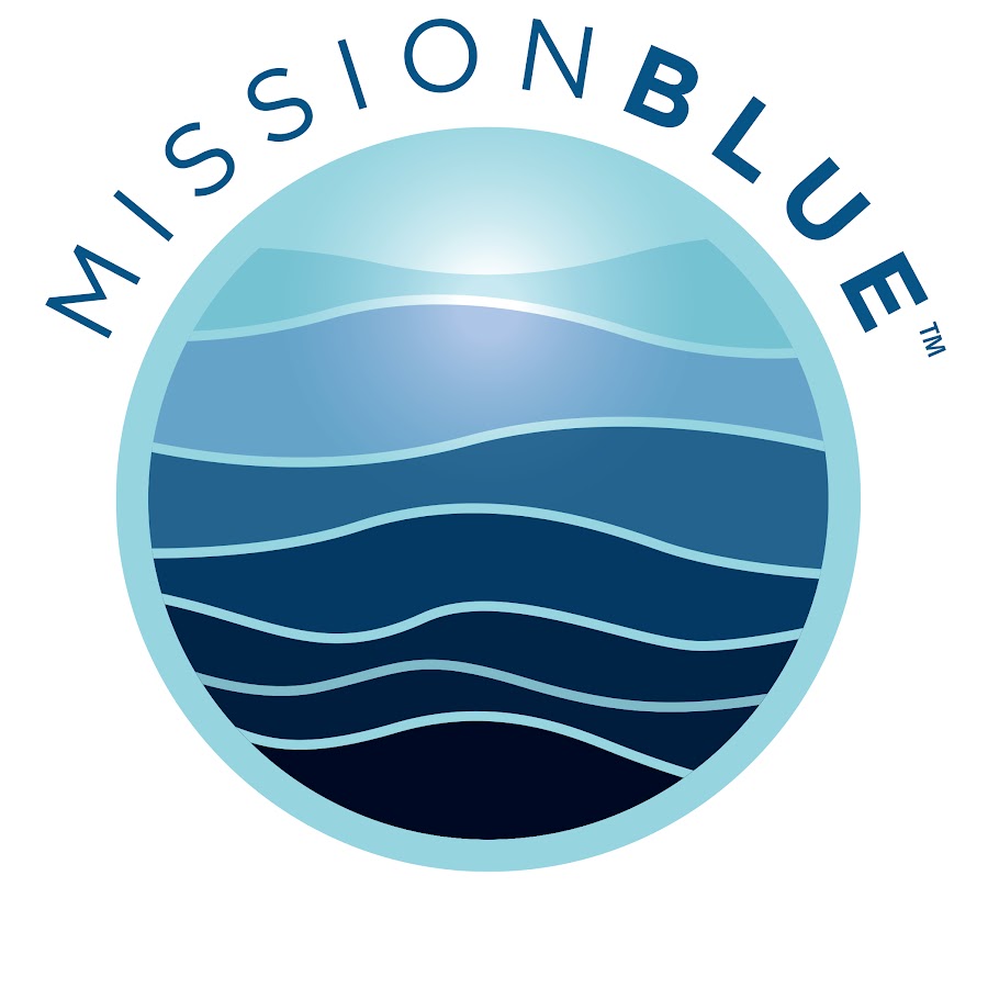 AKedOLQzy4oELTkDsSykR4zPulbYkwJouAe4Zs1SzVeI=s900-c-k-c0x00ffffff-no-rj