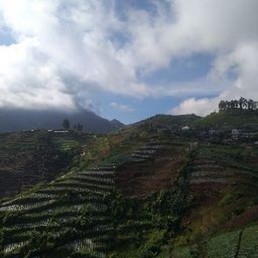 AKedOLR0nve0KdFMezyuMjalXQ_ICP6ka2a522JVWxAL=s900-c-k-c0x00ffffff-no-rj