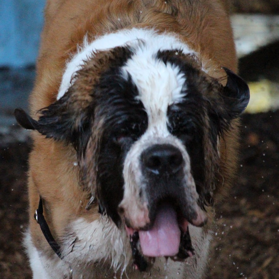 Akedolr2efbqjwsvpycwznu5mj9iw Dfhnxqqyutrvji S900 C K C0x00ffffff No Rj