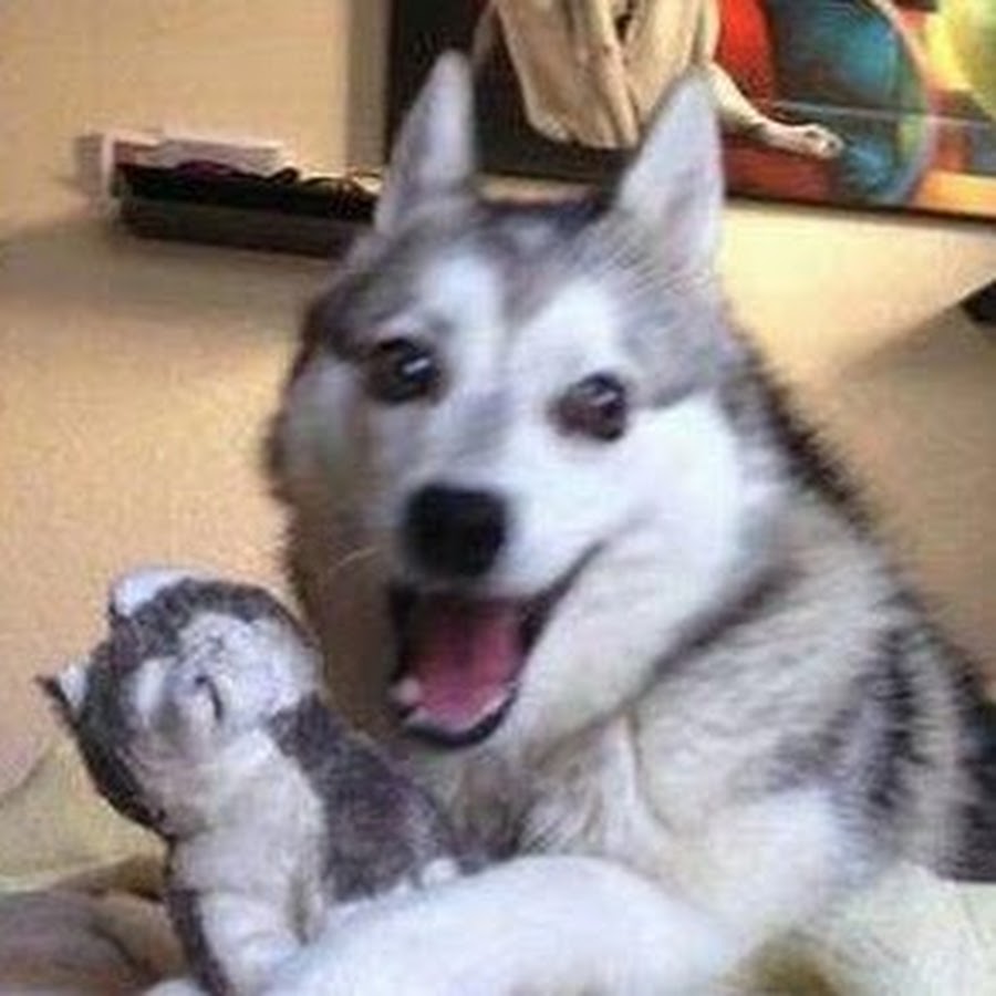 AKedOLR6N6YomHR43UhaNvTmfg8FYXlrmubVfe_nyDvH=s900-c-k-c0x00ffffff-no-rj