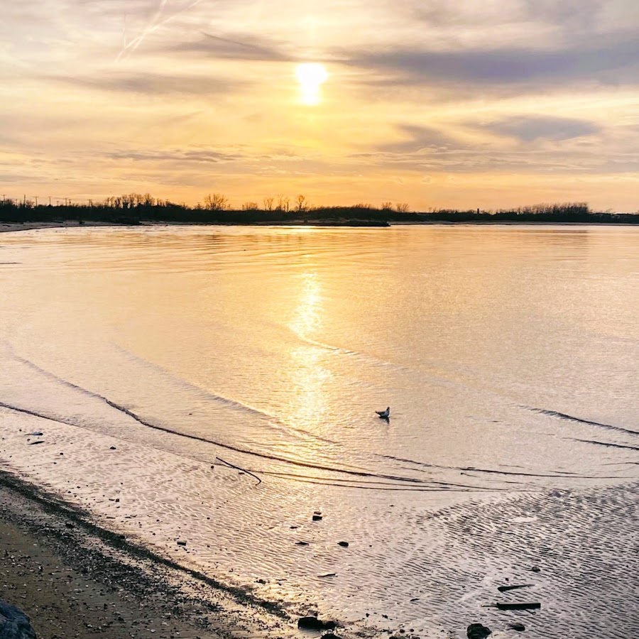 AKedOLRDud3YSR4psEQbWy2UPqOIWpt0mTYG823Ix74lzSE=s900-c-k-c0x00ffffff-no-rj