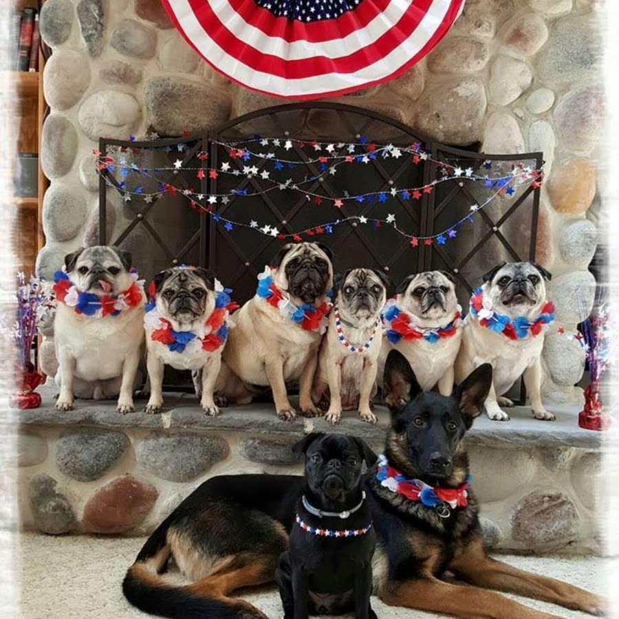 AKedOLRGpGnuIPmKCBxeTHkqnEwHB0-u2vOrZfKmOoSQ-w=s900-c-k-c0x00ffffff-no-rj