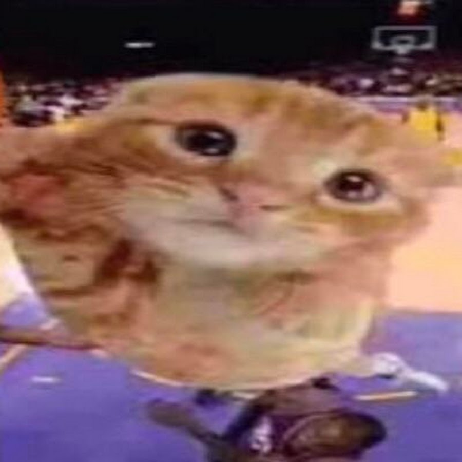 AKedOLRHUuYMD4p4Fdxp6ySWTTO6aVvcffi1uSFLmag=s900-c-k-c0x00ffffff-no-rj