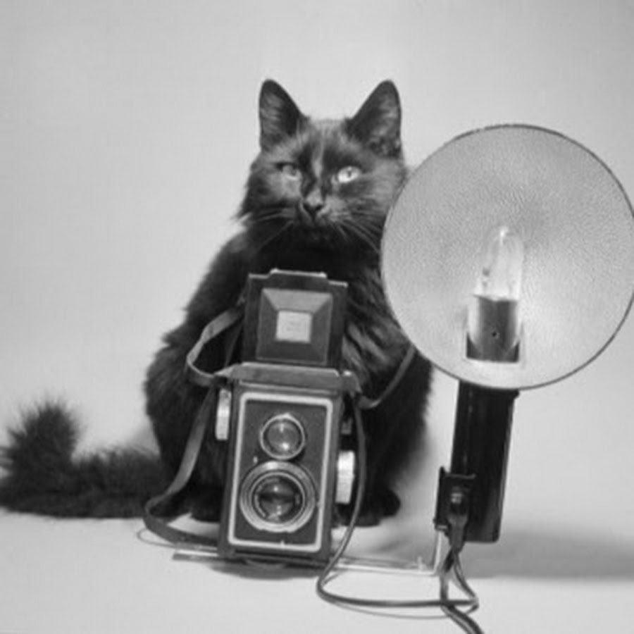 AKedOLRRnM63yqFY7X2A1N1eQ22WIce3kCJViHf3J1fz=s900-c-k-c0x00ffffff-no-rj