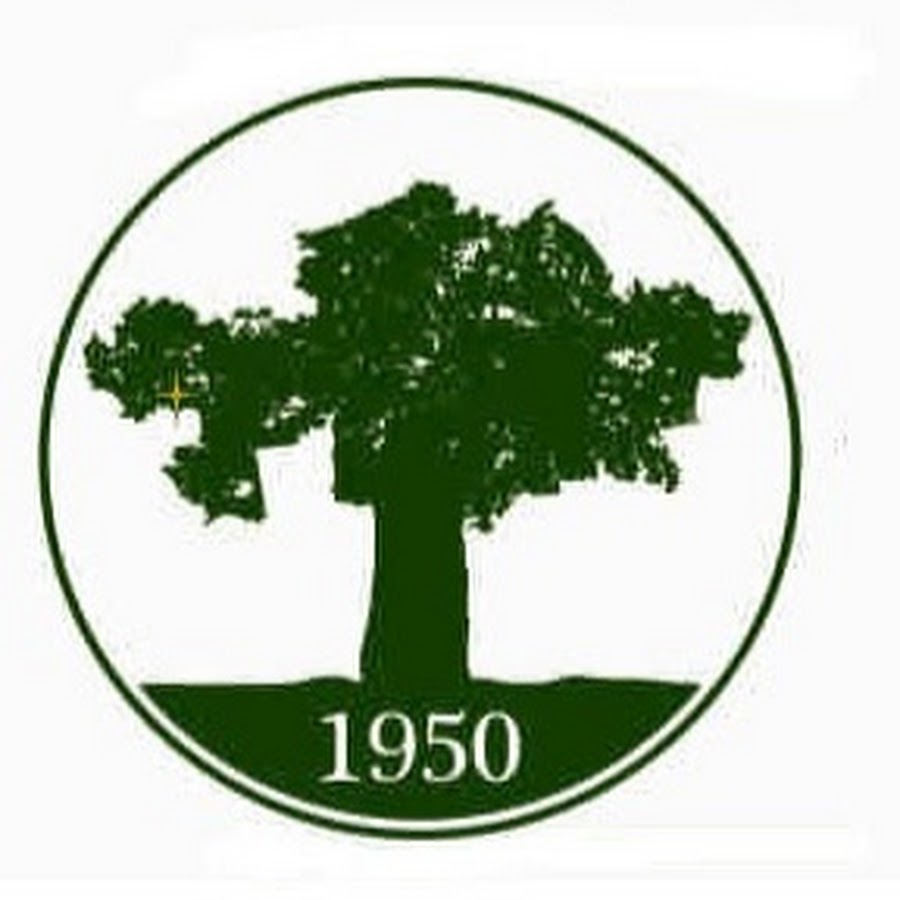 AKedOLRRypxRq3XeZPZOhEqGbjaEjuzH84vl-haHmwrMdQ=s900-c-k-c0x00ffffff-no-rj