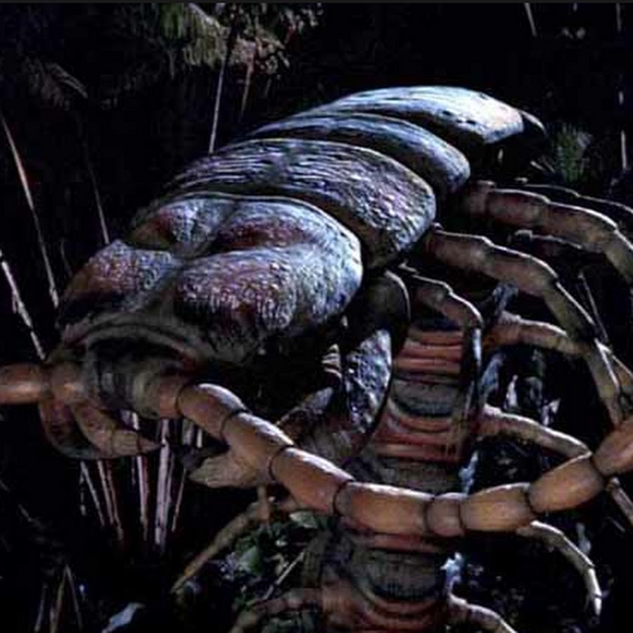 AKedOLRSAhxofflwsgdhpZC1o4JcBq6L-viR5PBDZ9hP=s900-c-k-c0x00ffffff-no-rj