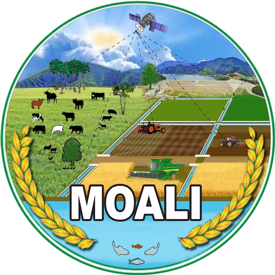 AKedOLRTrowynH8c_D_C-lKEos4iVXP53vidjnjExlcjdw=s900-c-k-c0x00ffffff-no-rj