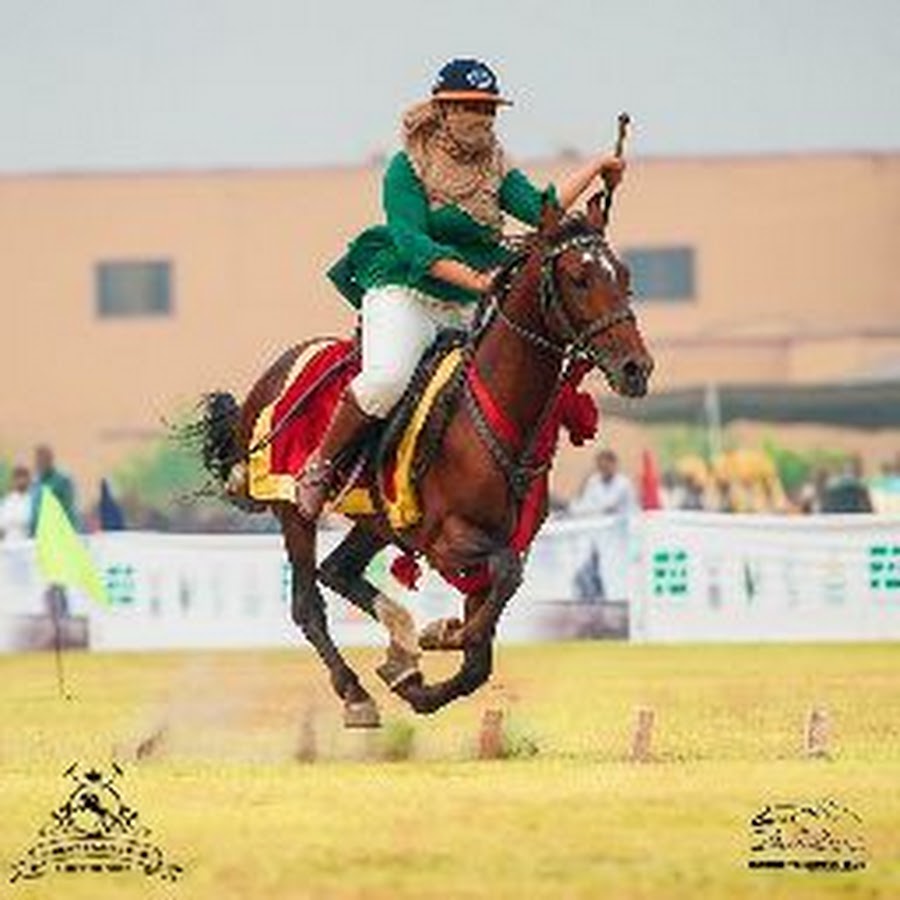 AKedOLRZaUzbCszIB-3YOL_EE2ocLjp7rddr3NN2nlGf=s900-c-k-c0x00ffffff-no-rj