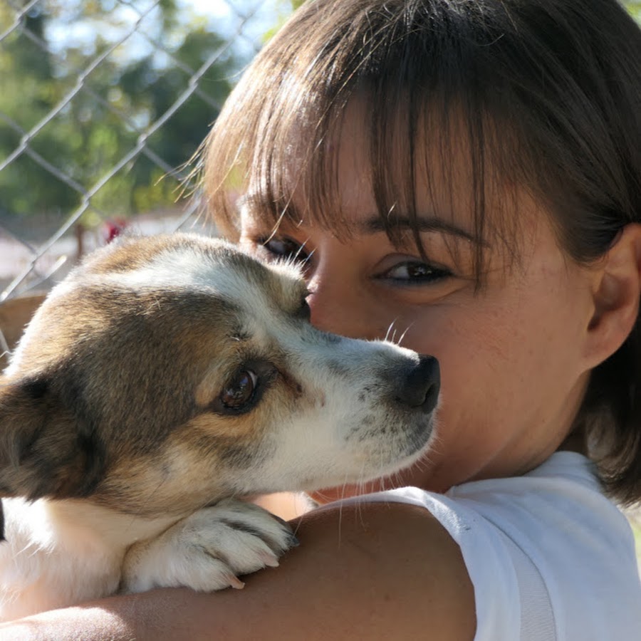 AKedOLRc-9T_VJL4QL6tGB3QvwHNVVHehgEx_rmWguM0=s900-c-k-c0x00ffffff-no-rj