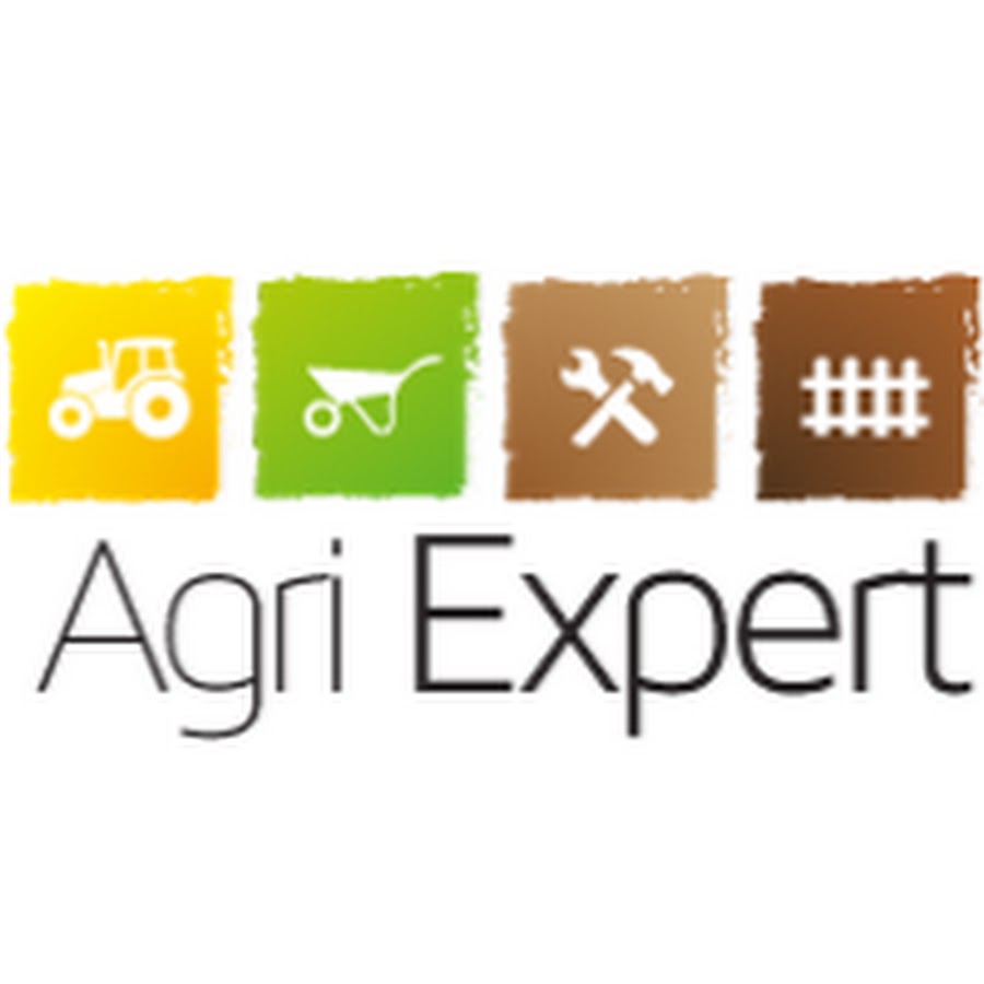 AKedOLRdemUejEUR2qyPBmi8mr-GQlmUwIzJ-Ne5-A9F=s900-c-k-c0x00ffffff-no-rj