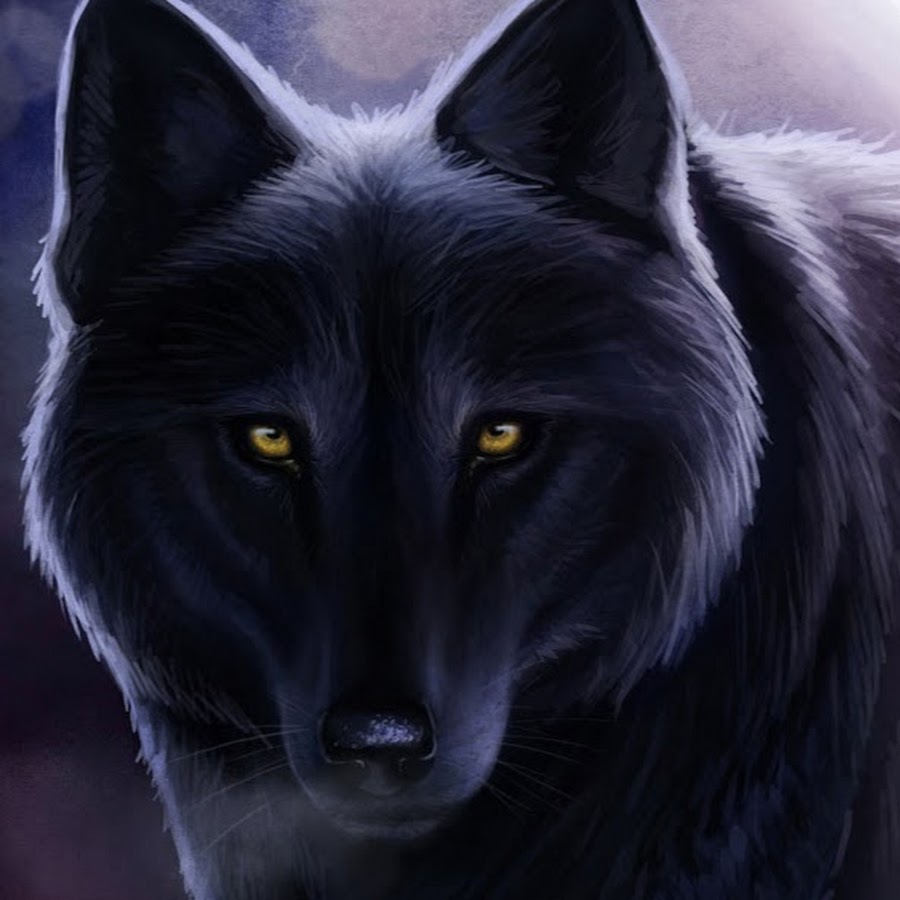 AKedOLRi_K2Wq3Ycflc5fUocy19BAKH1y0d7G1QV1E4u=s900-c-k-c0x00ffffff-no-rj