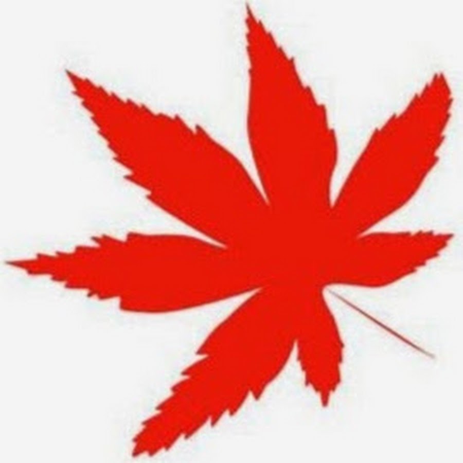 AKedOLRjLELwu9s6-jneTQbZOE50hIlIeTZuKaHFqV_nOw=s900-c-k-c0x00ffffff-no-rj