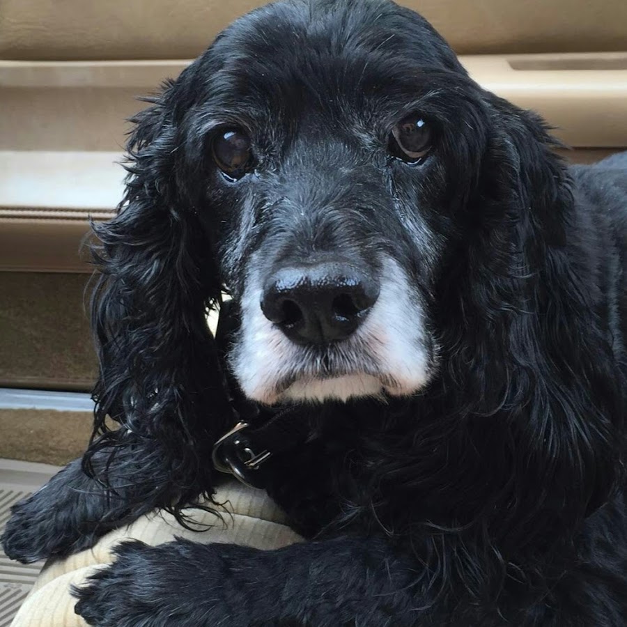 AKedOLRn01J8k6mJU0CTParm6walR8l0u_KqV6u0tYUl=s900-c-k-c0x00ffffff-no-rj