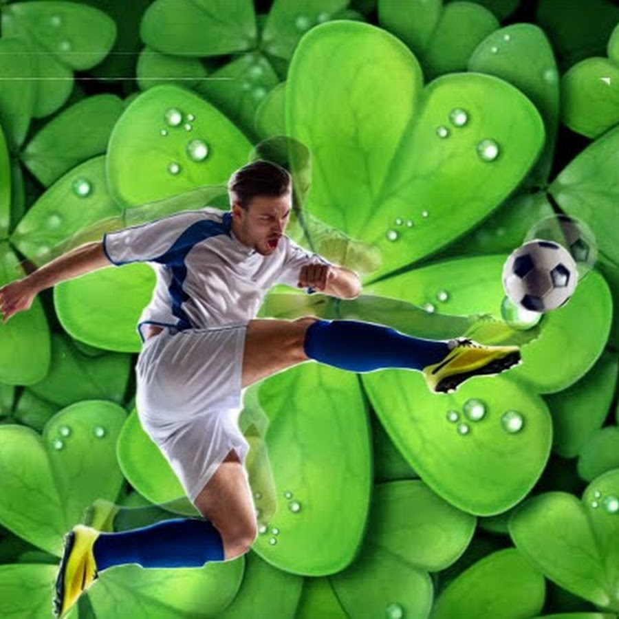 AKedOLRn3fD-6DloM1pK_WSRu6620LPOkkZGvtws6STt=s900-c-k-c0x00ffffff-no-rj