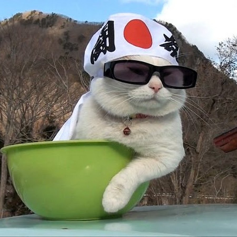 AKedOLRtUZiNpgG8KHSvF7TZbQ4_ESHBlfV3l5q2_21xPg=s900-c-k-c0x00ffffff-no-rj