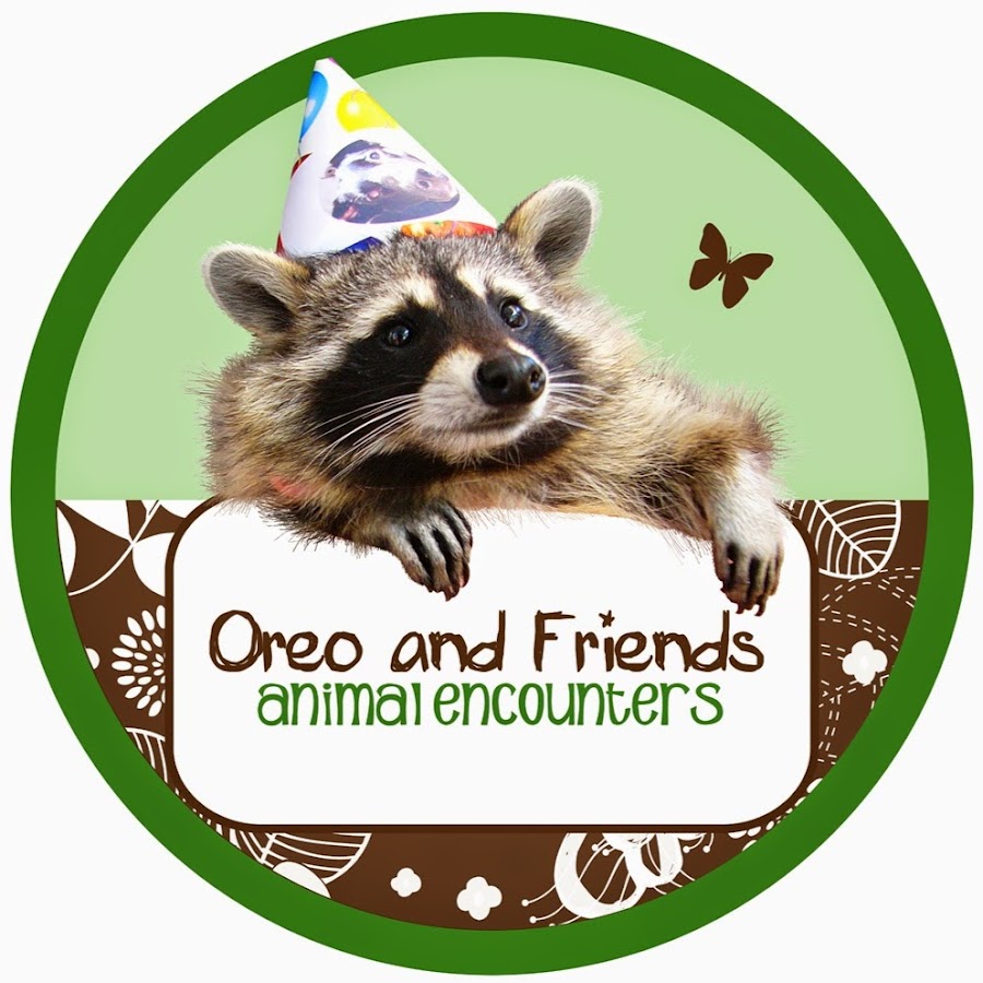 AKedOLRy4T1Z5vw-w_sm9uhBSRDxRJ5peNhIL7-fvtf5=s900-c-k-c0x00ffffff-no-rj