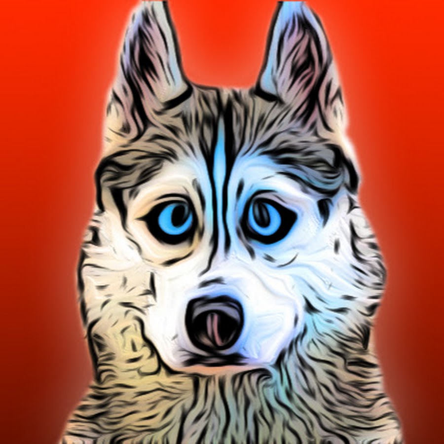 AKedOLRzbtLDVUBA-4htlq3YWPvMwOvioxjz51hJt2doIA=s900-c-k-c0x00ffffff-no-rj