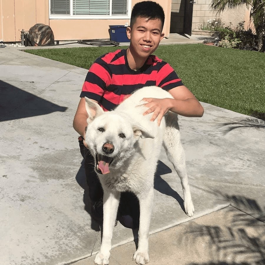 AKedOLS2BRo_RVYiK4sY8J4b9Rf7v5iPtsT8Pr_DDQFoJA=s900-c-k-c0x00ffffff-no-rj