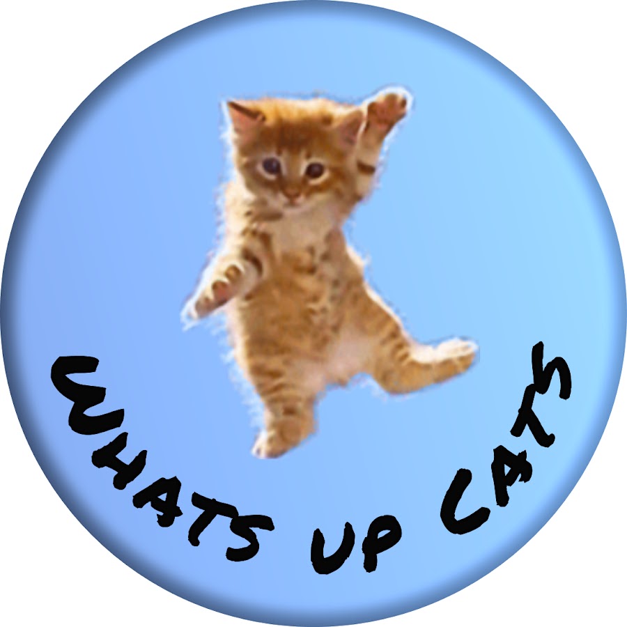 AKedOLSAgtSgSEs-crWj5JVXKs2UZD-tO0BYmdfSHh-S=s900-c-k-c0x00ffffff-no-rj