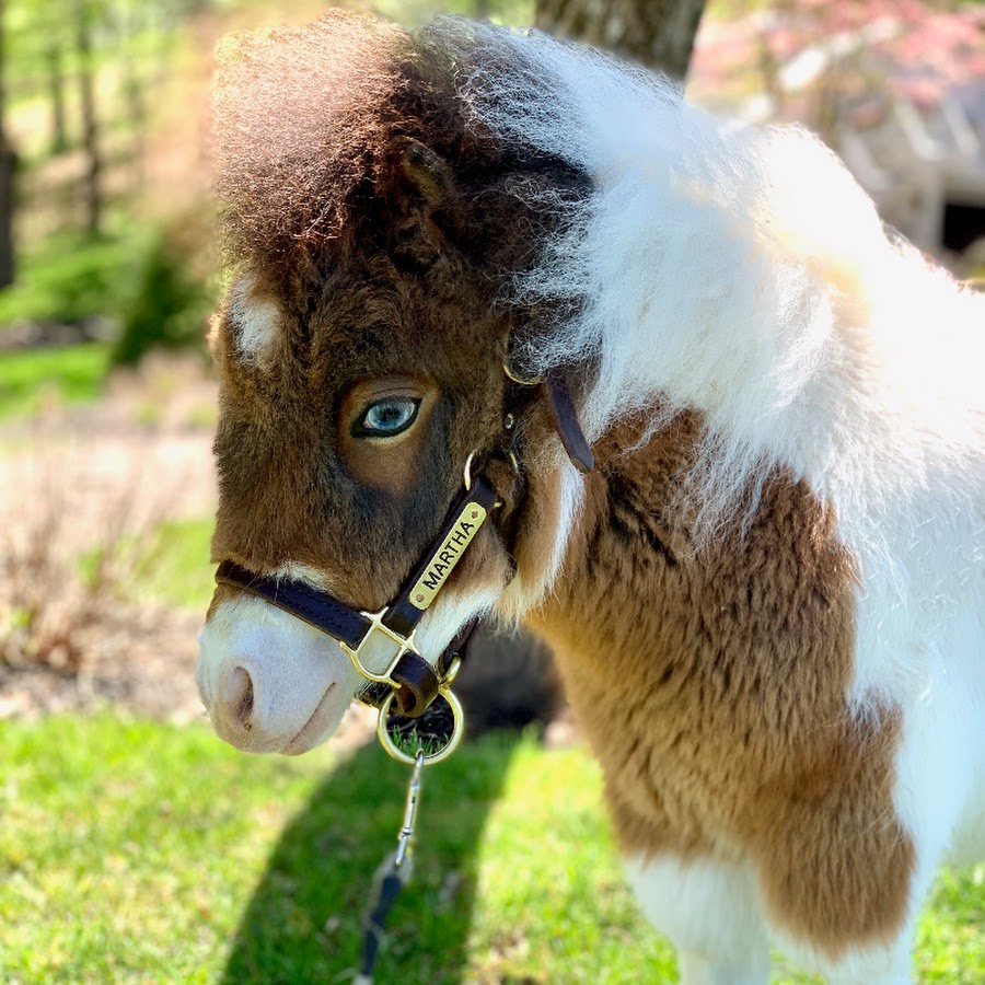 AKedOLSCWsb6RRI1bSaciN8wl4E0pJYHj2cBYrAvSzyc=s900-c-k-c0x00ffffff-no-rj