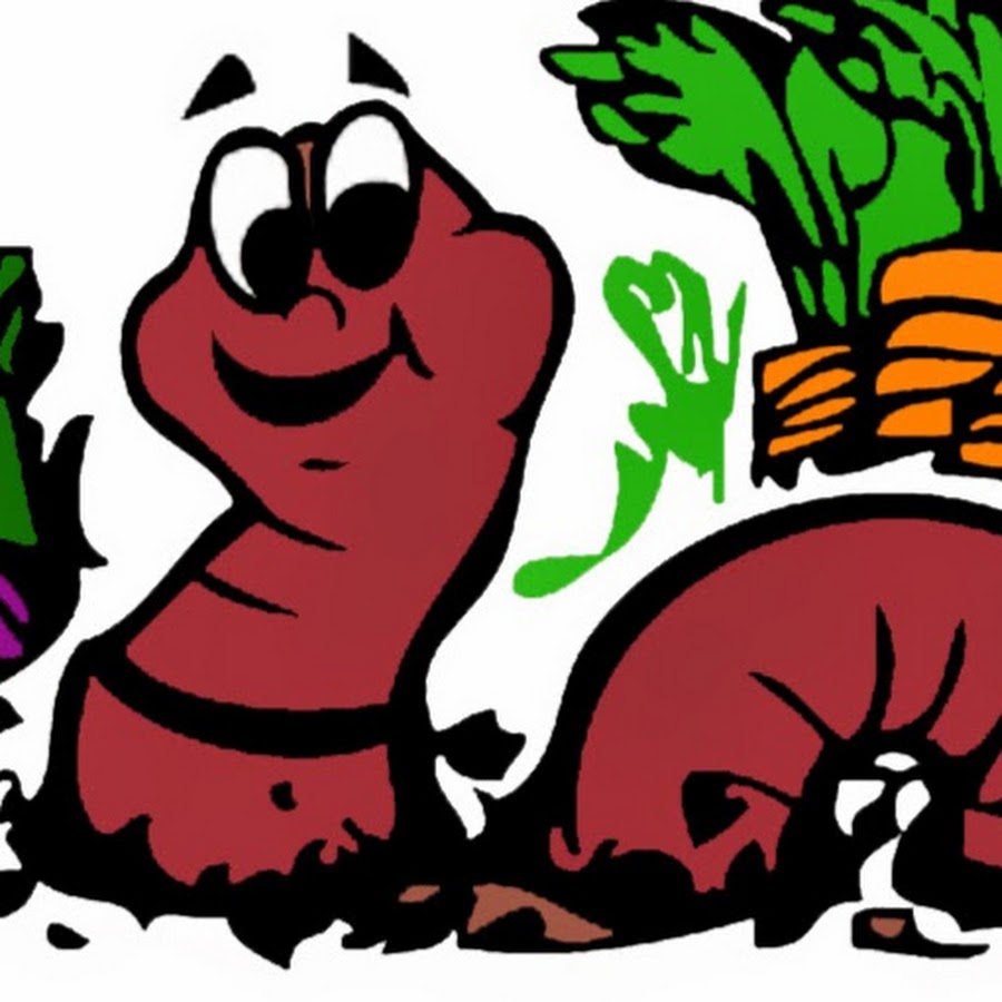 AKedOLSEKFkrNPcIhEjuLc29dbXBD6U4-3eOgOP-euwQ=s900-c-k-c0x00ffffff-no-rj