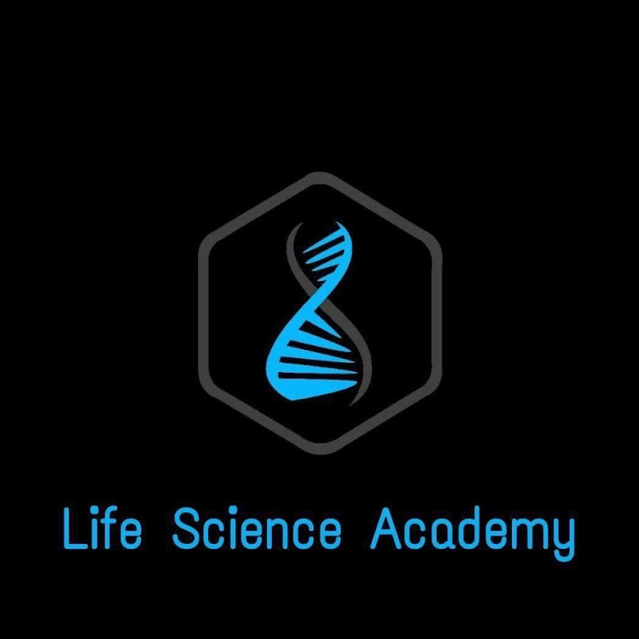 AKedOLSEnlt317nX6P_2z7JdPU7Me6MHkmYV8QNKNep3=s900-c-k-c0x00ffffff-no-rj