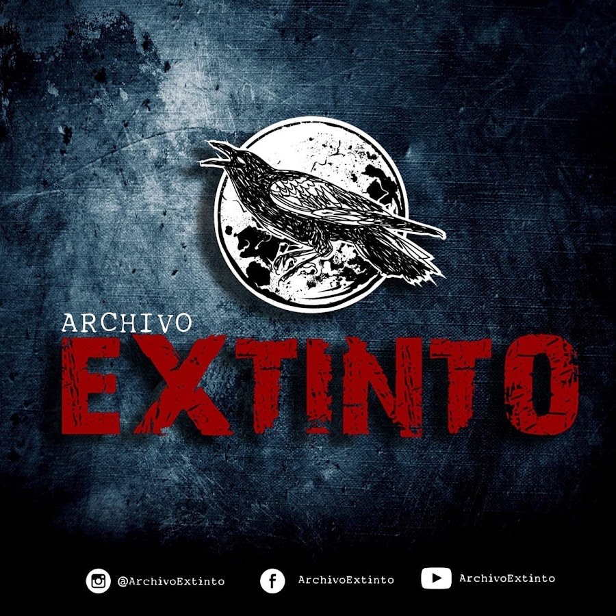 AKedOLSFyqf4pja7g5UKZiuFcot6f23xjKTLzkwTZY2USA=s900-c-k-c0x00ffffff-no-rj