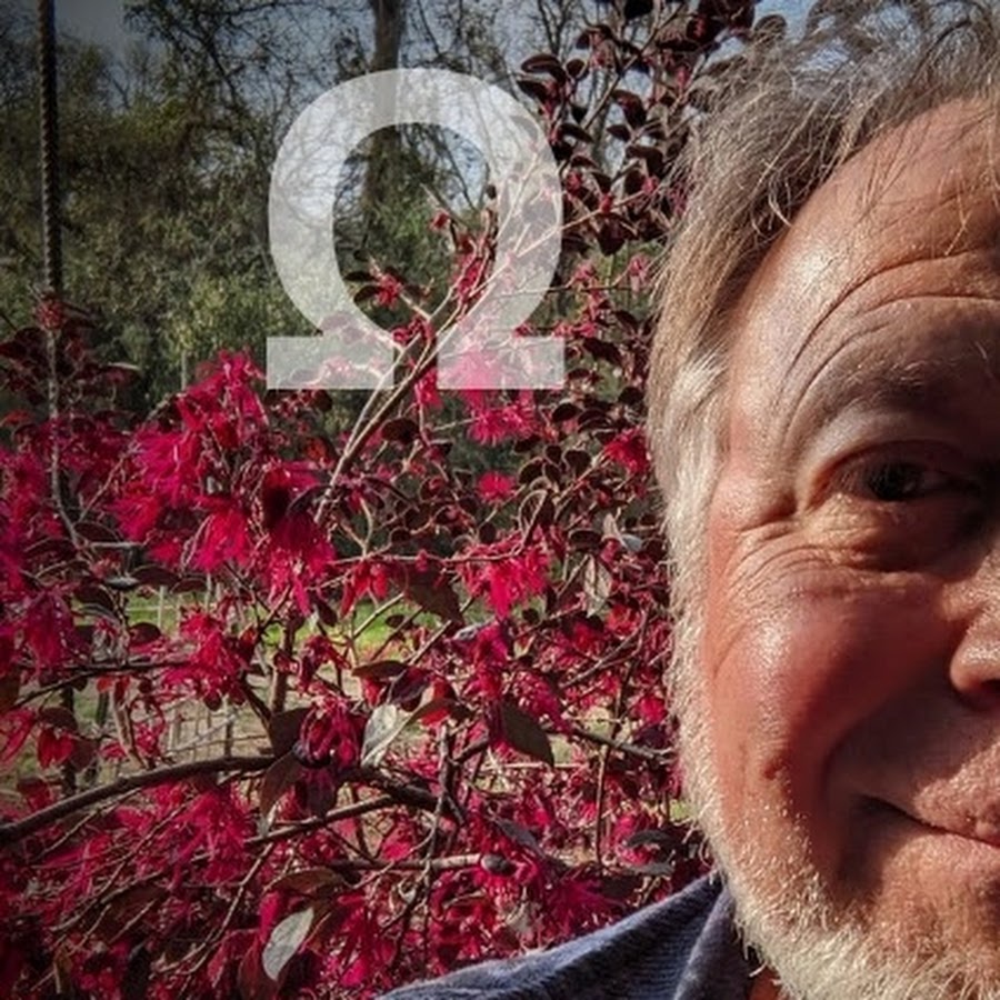 AKedOLSIesYDx6TEzEkNLj1ZHhvSva634mEDIvbnoeh2PnY=s900-c-k-c0x00ffffff-no-rj