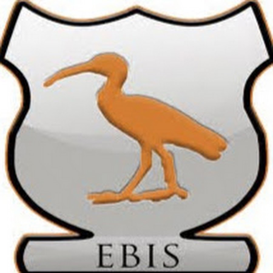 AKedOLSJ3Hkk-_Pjmb3kMYdTeFR25eGWXiwaGUVL4hNc=s900-c-k-c0x00ffffff-no-rj